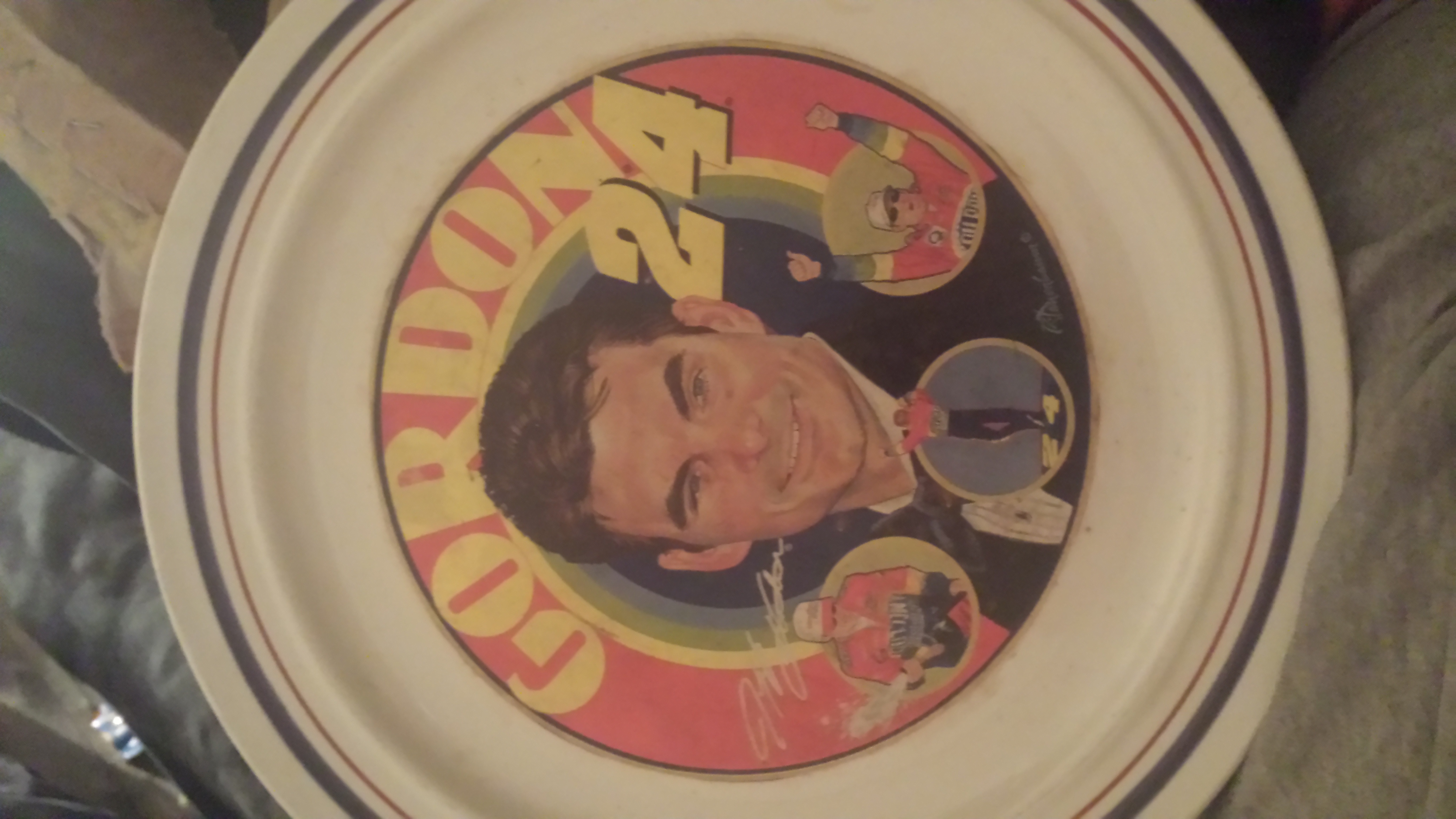 Jeff gordon A champions celebration plate | InstAppraisal