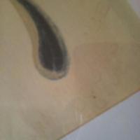 original 1922 LIFE magazine "The Flapper" poster antique appraisal ...